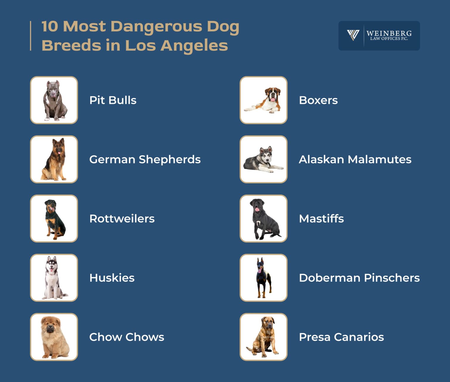 10 Most Dangerous Dog Breeds in Los Angeles