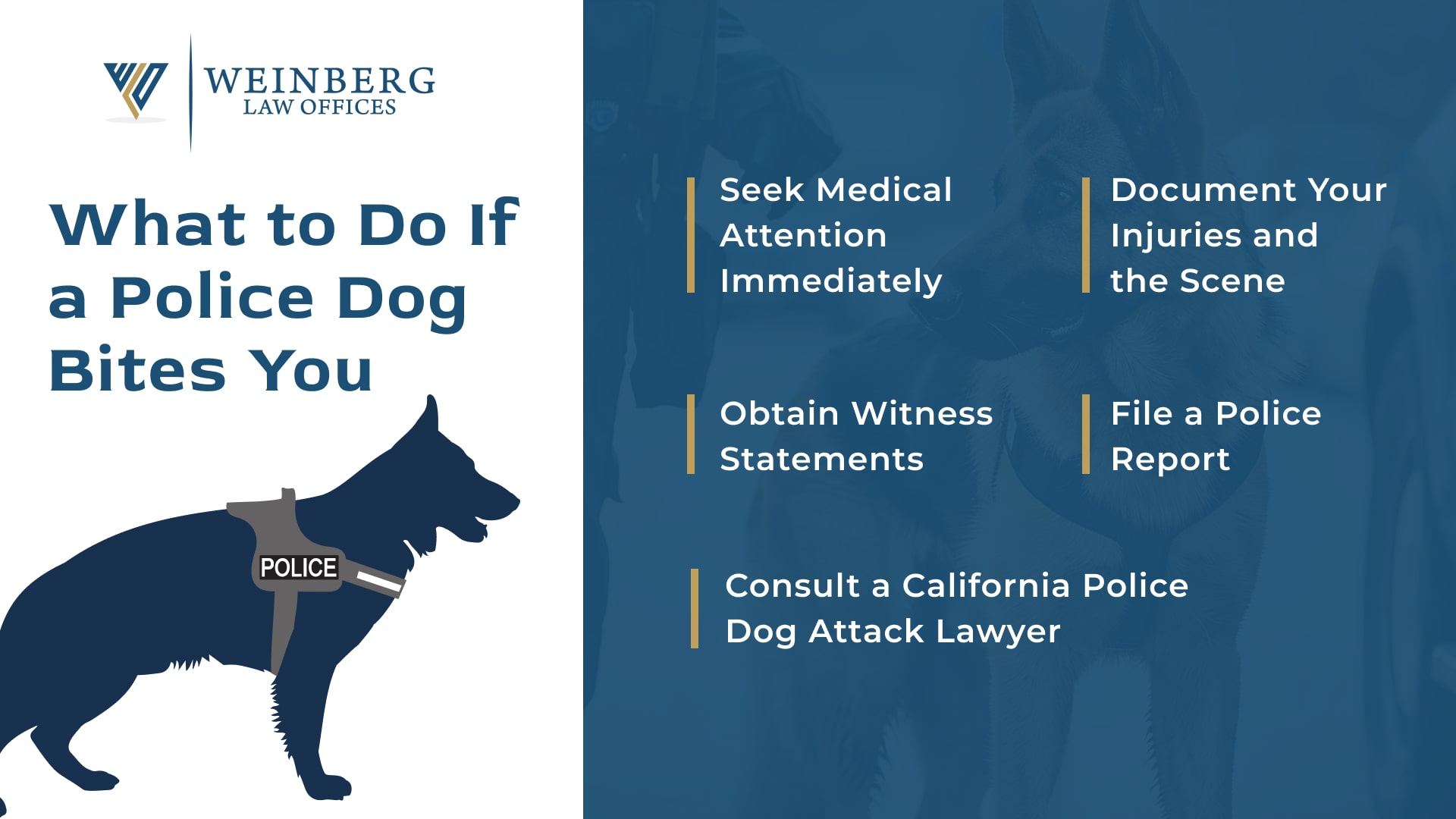 What to Do If a Police Dog Bites You in California [2025 Guide]